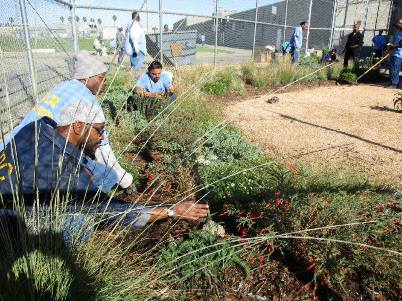 Prison Gardens: Inside-Out Crime Prevention | Garden Culture Magazine