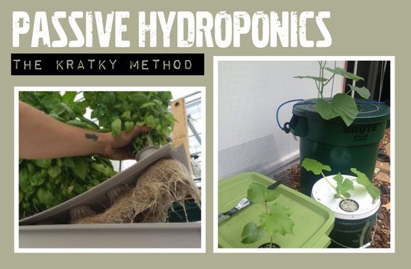 Hydroponic System Heart