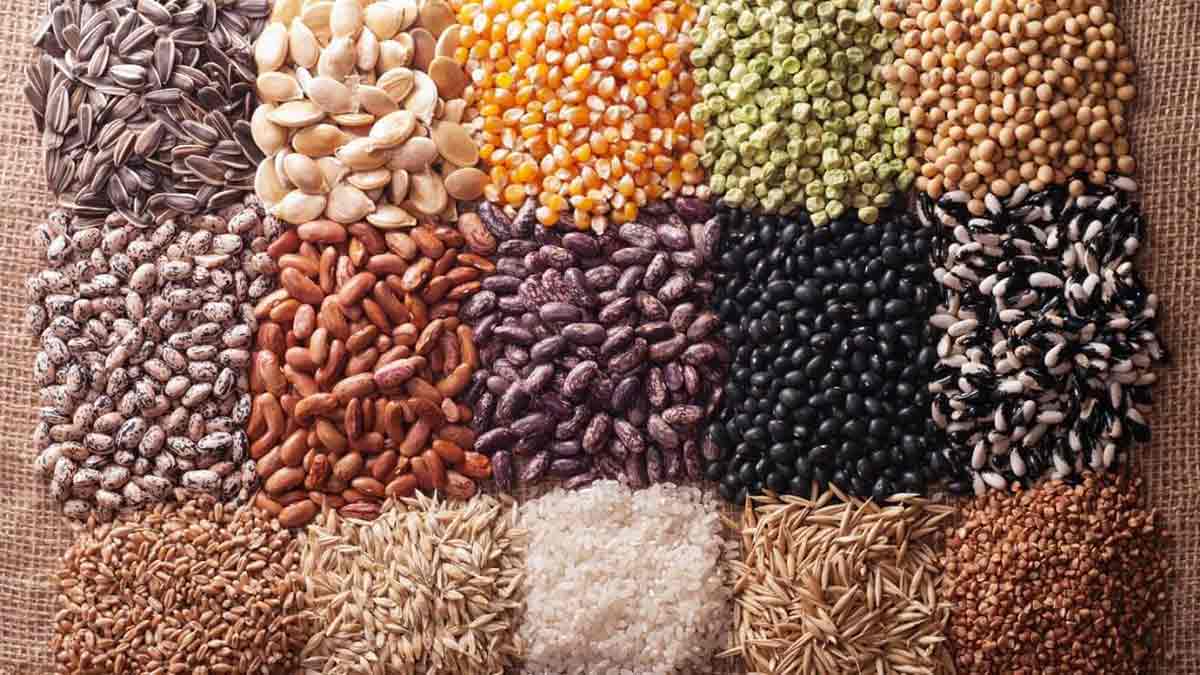 Tips For Saving Seeds For Next Year’s Gardens | Garden Culture Magazine