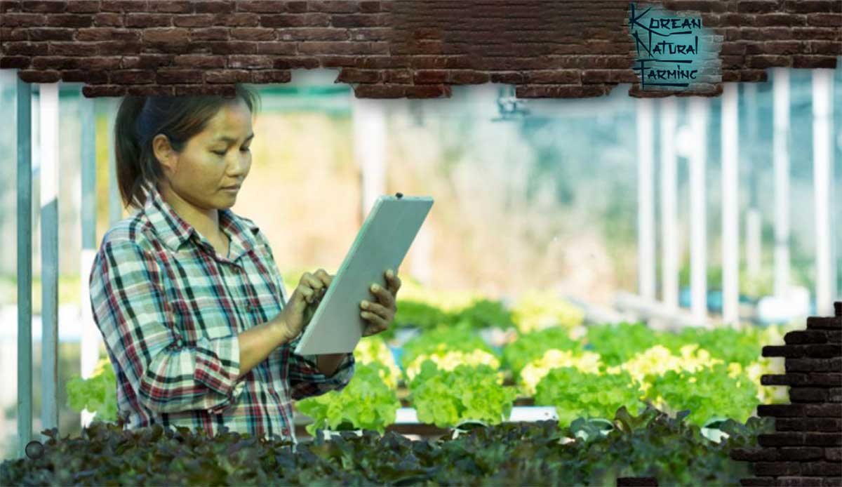 Merging Hydroponics With Organics In Korean Natural Farming | Garden ...