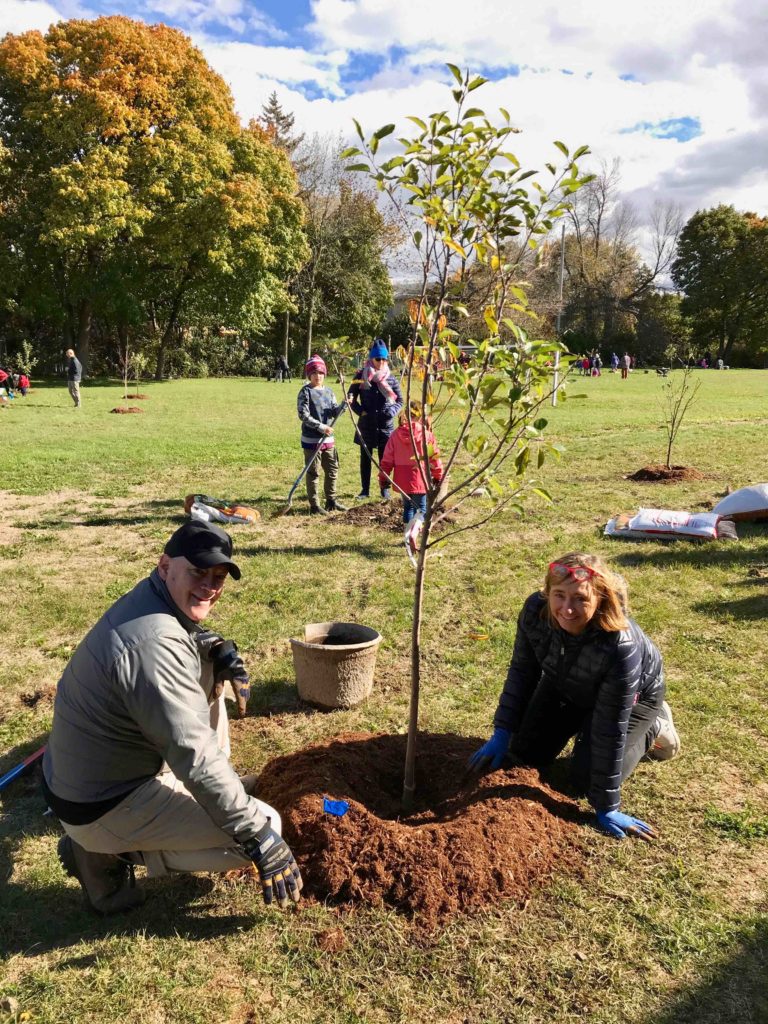Tips For Growing An Urban Orchard | Garden Culture Magazine