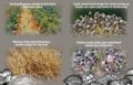 Seed Saving Part 3: Harvesting & Processing Seeds | Garden Culture Magazine