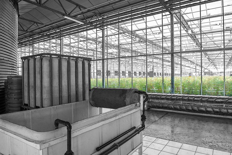 Chlorine and Plants - An Easy Starting Guide | GCM