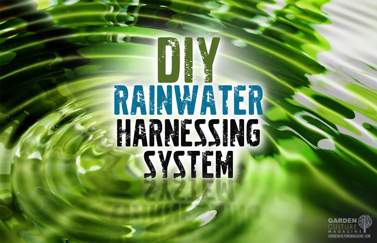 Build Your Own Rainwater Collecting System | Garden Culture Magazine