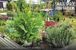 An Expert Guide To Growing Food In Small Spaces | Garden Culture Magazine