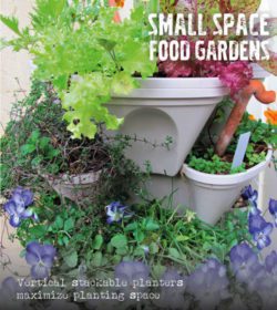 An Expert Guide To Growing Food In Small Spaces | Garden Culture Magazine