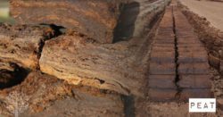 Stop Using Peat! Try These Alternatives | Garden Culture Magazine