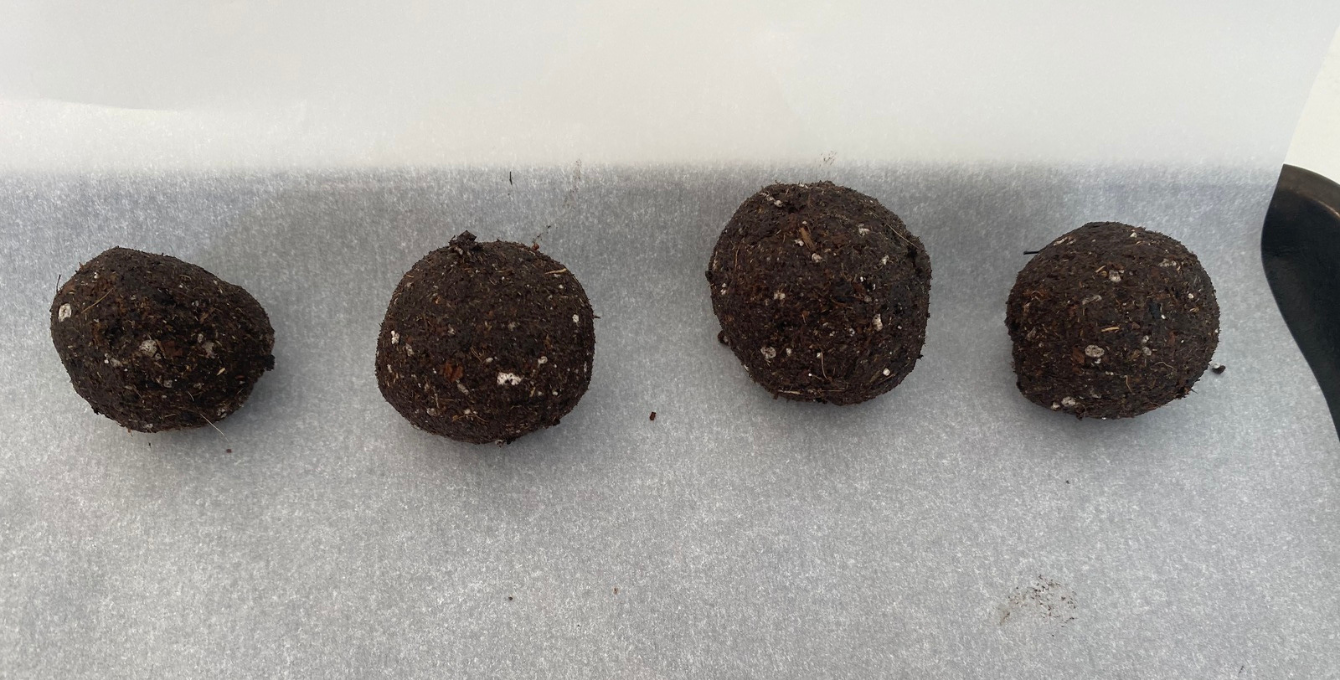 Seed Bombs: An Easy Guide | Garden Culture Magazine