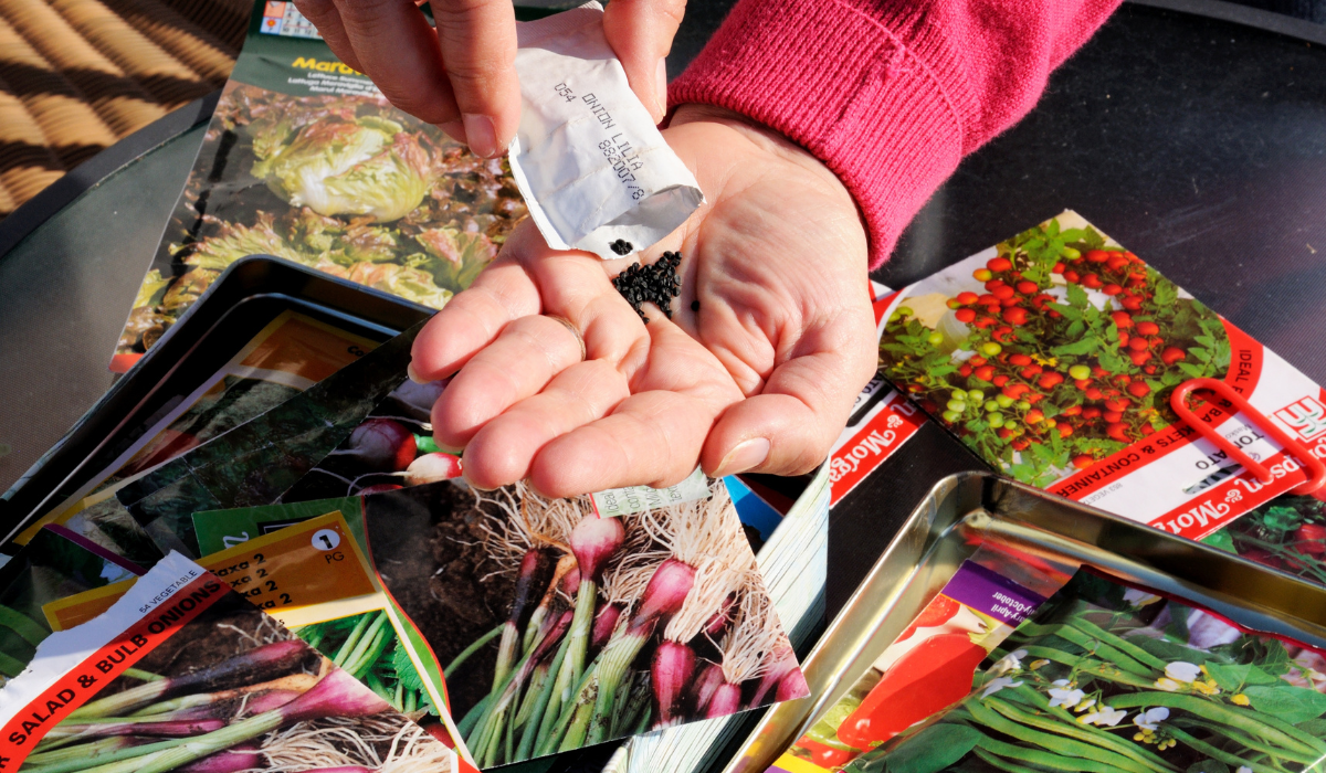 Seedy Saturday Events: Love for Community and Seeds | GCM