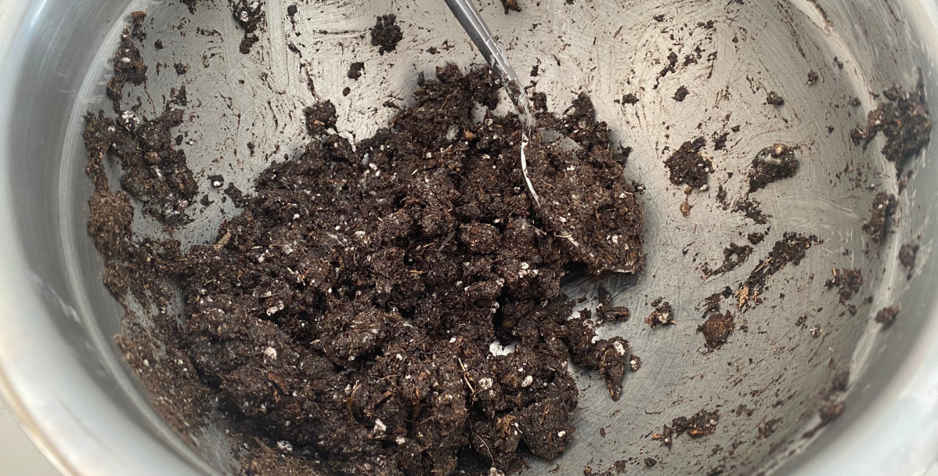Seed Bombs: An Easy Guide | Garden Culture Magazine