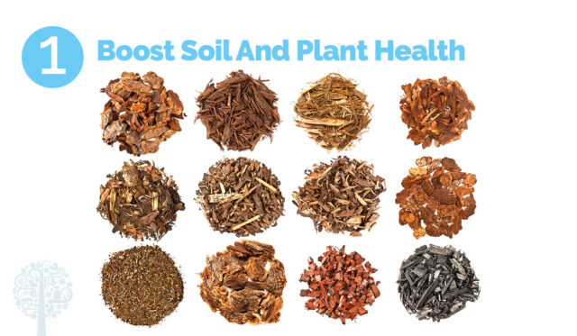 5 Cool Ways: Homemade, Natural Solutions | GCM