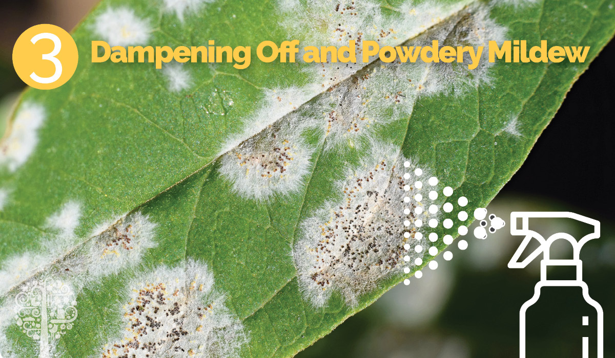 5 Cool Ways: Homemade, Natural Solutions | GCM