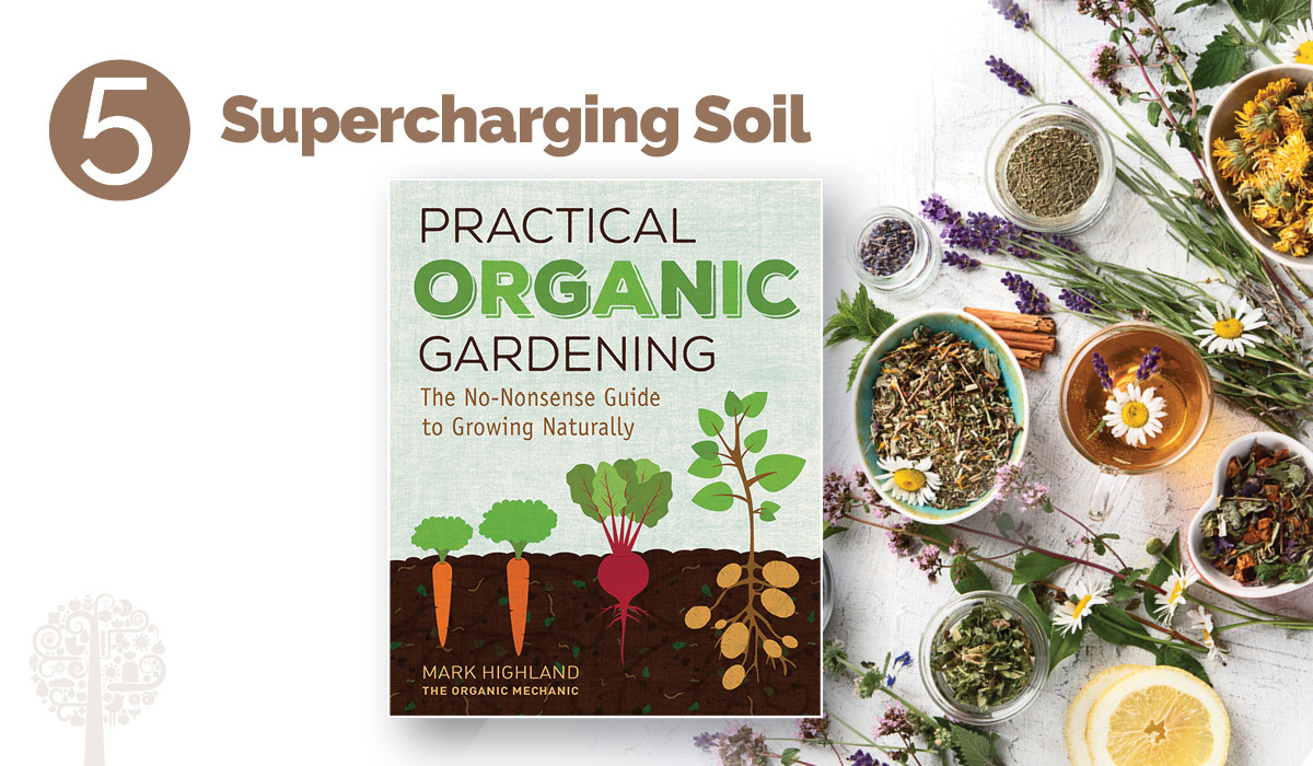 5 Cool Ways: Homemade, Natural Solutions | GCM