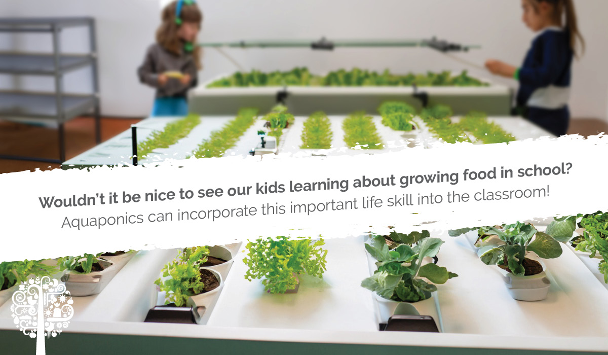 Classroom Aquaponics: Kids Gain Healthy Experience – Nature's Gateway