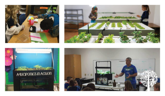 Classroom Aquaponics: Kids Gain Healthy Experience – Nature's Gateway
