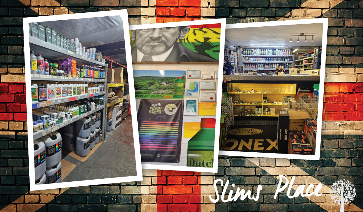 Confessions of a UK Hydro Store - Slims Place | GCM