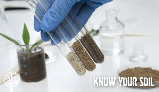 5 Cool Ways to Conserve Garden Soil – Nature's Gateway