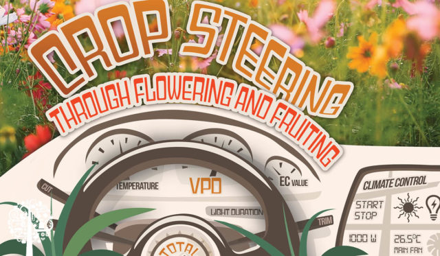 Using Climate And Irrigation As Crop Steering Tools Through Flowering ...