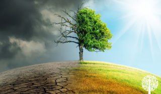The Rise Of Eco-Anxiety: How Can We Learn To Cope? | Garden Culture ...