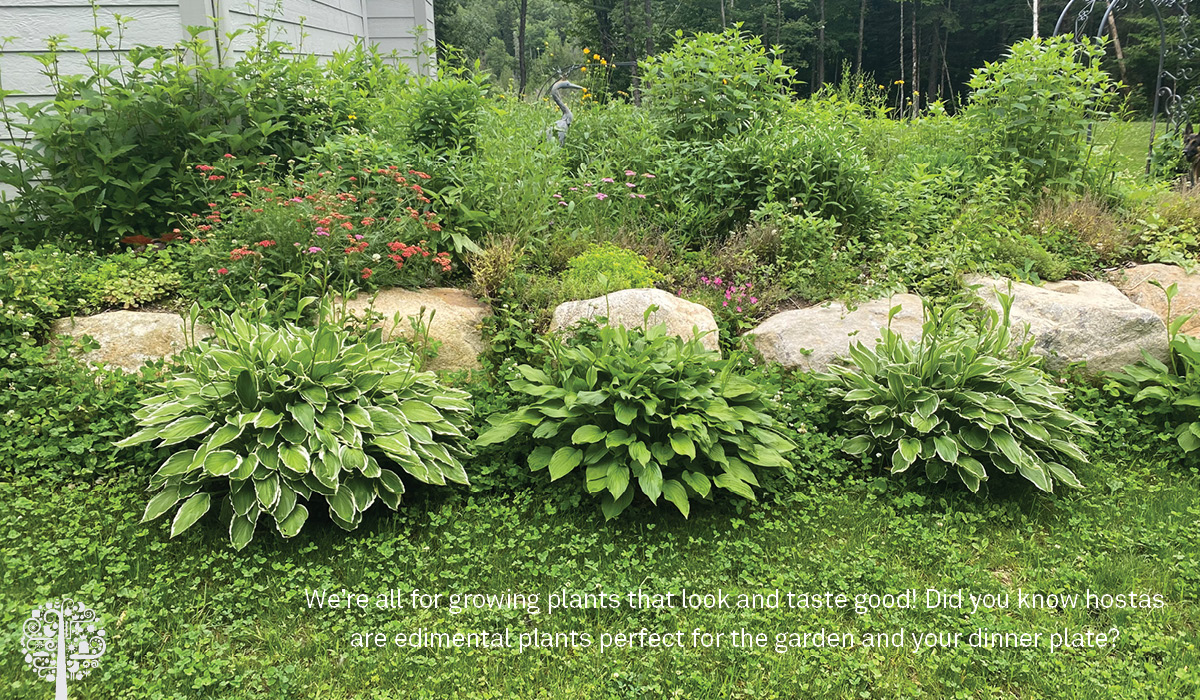 Irresistible Edimental Gardening | GCM