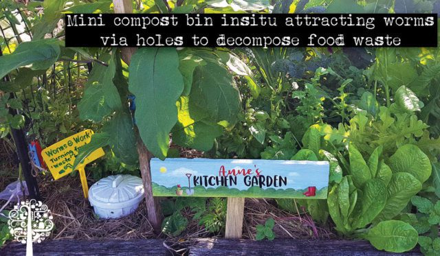Keeping It Simple With These Low-Tech Gardening Hacks