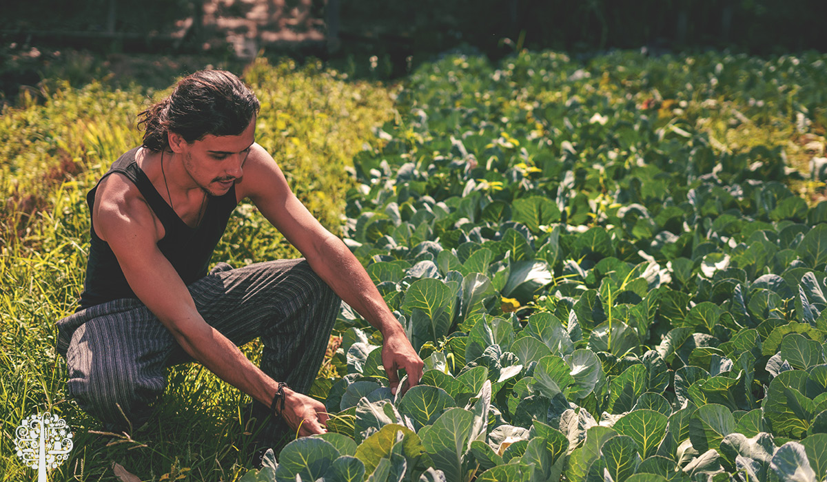 Is Gardening Exercise? Discover its Benefits | GCM