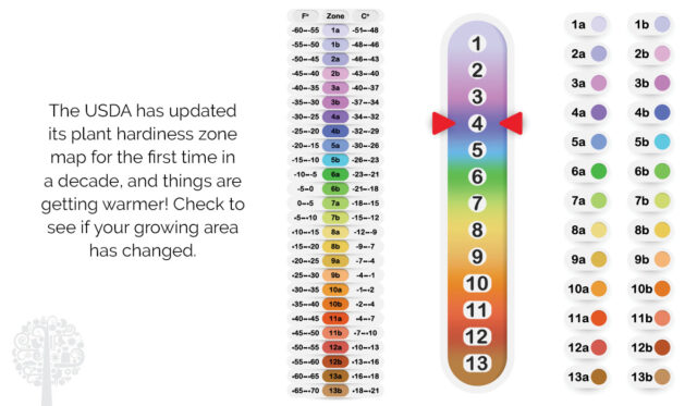 Plant Hardiness Zones: Updated by USDA | GCM