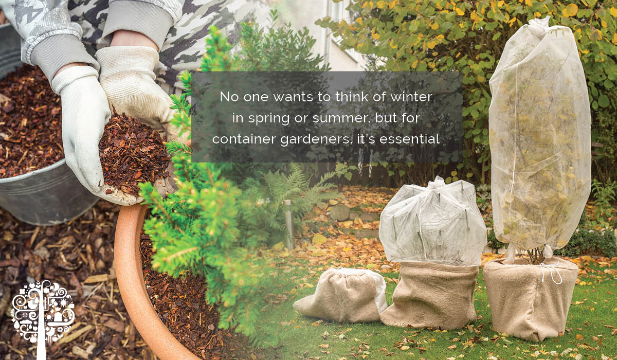 Keeping Container Plants Warm In The Winter | Garden Culture Magazine