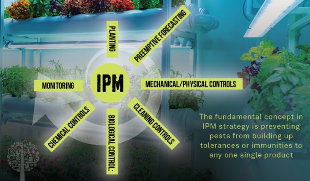 Why IPM is the Secret Solution to Your Gardening Success