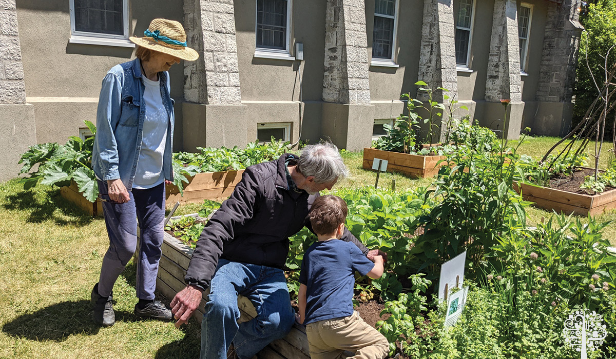 Urban Gardening with Incredible Edibles | Garden Culture Magazine