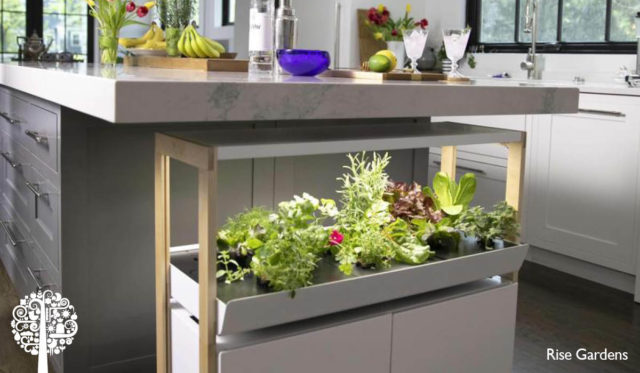 How Indoor Farms Are Changing Agriculture And Leading To Food Security