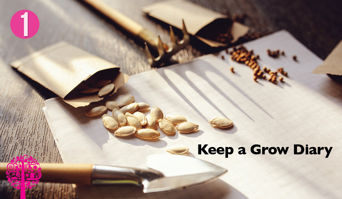 Top 5 Growing Tips To Boost Your Indoor Garden Game – Nature's Gateway