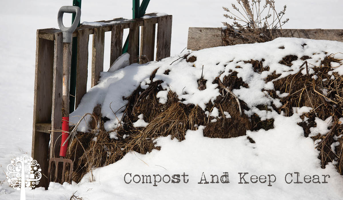 January And The Great Garden Cycle Reset | GCM