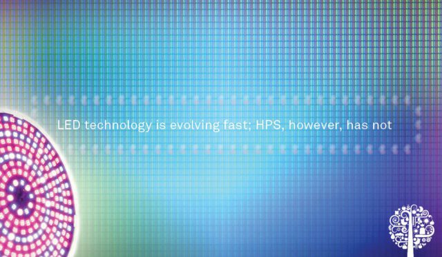 Growing Technology: The Evolution of LED Lighting