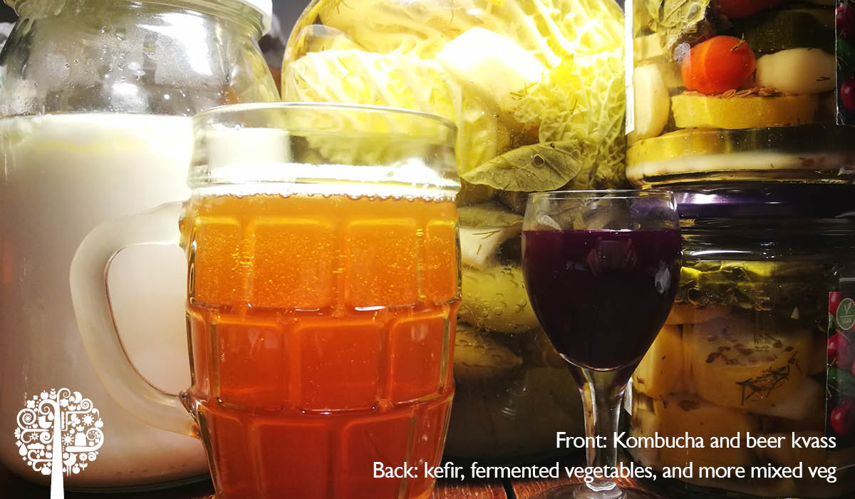 Lactic Acid Fermentation A Tasty And Nutritious Science Experiment ...