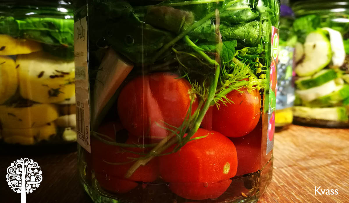 Lactic Acid Fermentation: A Tasty Science Experiment | GCM