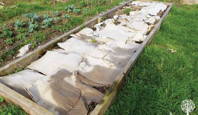 How to Make a Bulb Lasagna Garden | Garden Culture Magazine