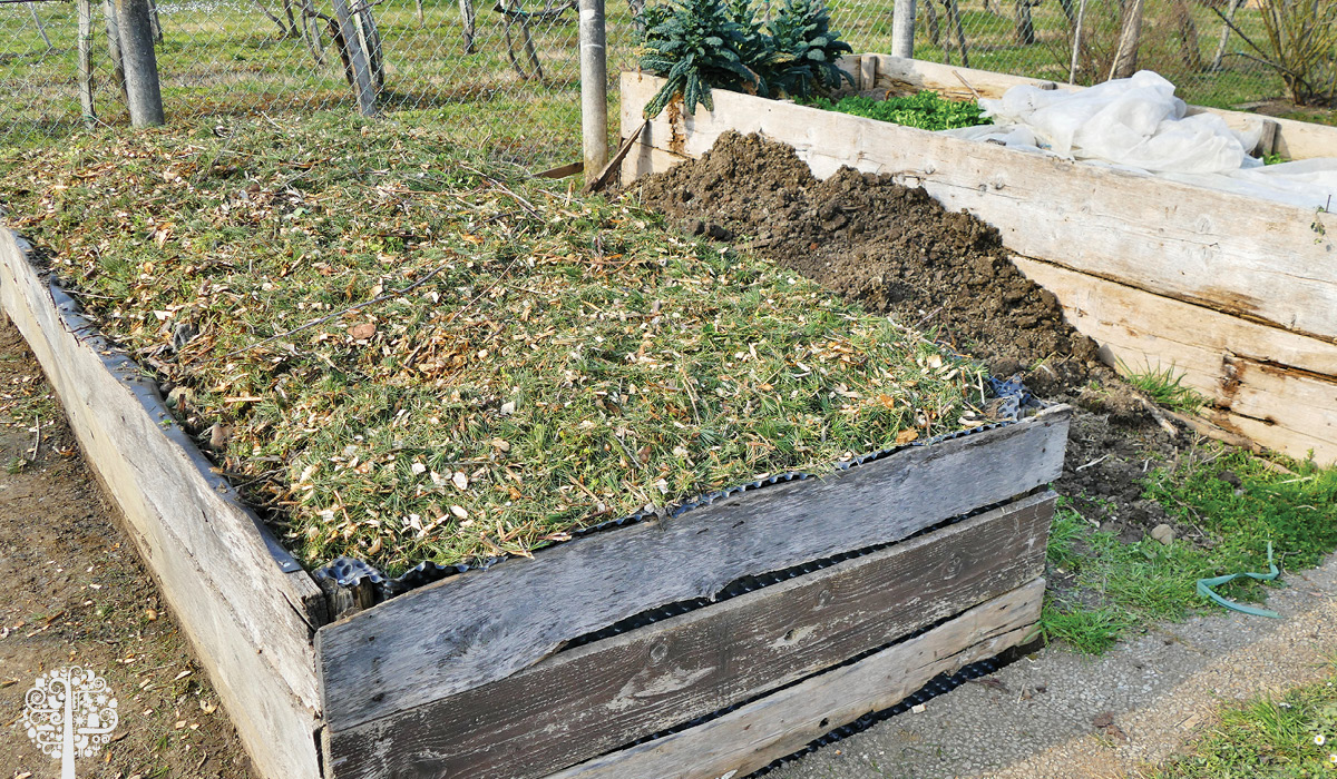 Lasagna Garden: Natural And Cheap Way To Grow Plants | GCM