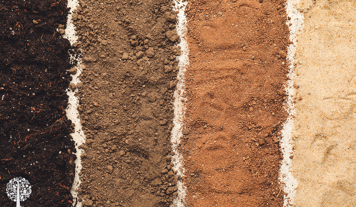 Lasagna Garden: Natural And Cheap Way To Grow Plants | GCM