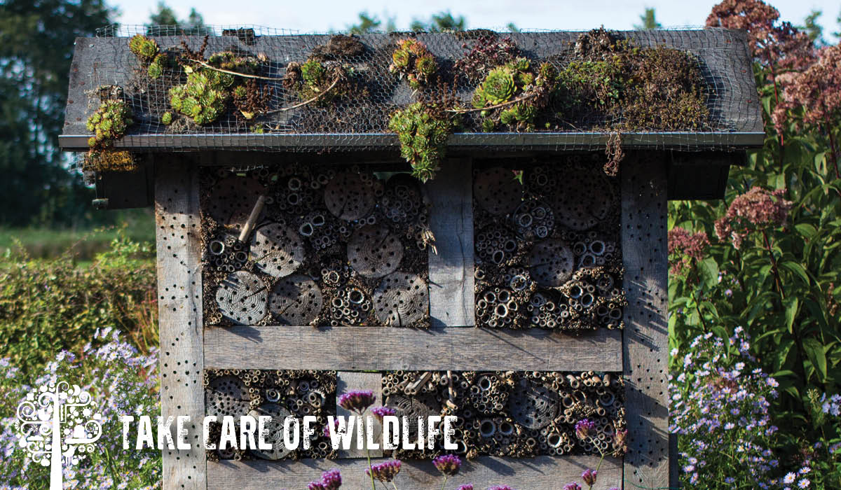 November Garden Tips: Keeping The Garden Cozy And Soil Healthy | Garden ...