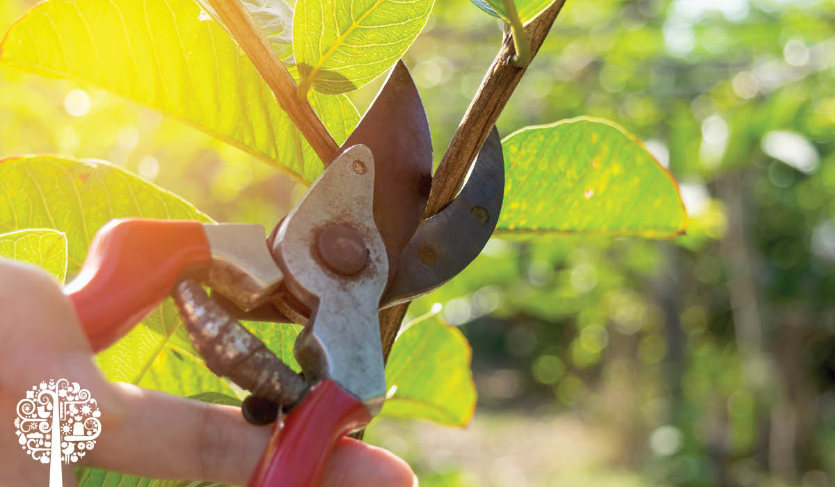 October Garden Tips: Time For Fall Gardening | Garden Culture Magazine