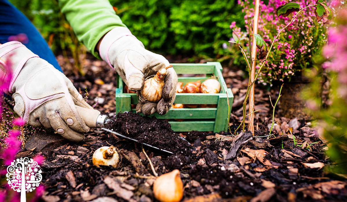 October Garden Tips: Time For Fall Gardening | Garden Culture Magazine