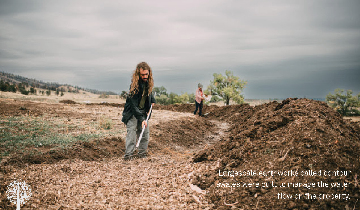 Cool Tips on Regenerating Dry Land Without Irrigation | GCM