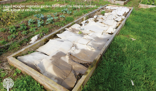 Discover Regenerative Gardening | Garden Culture Magazine