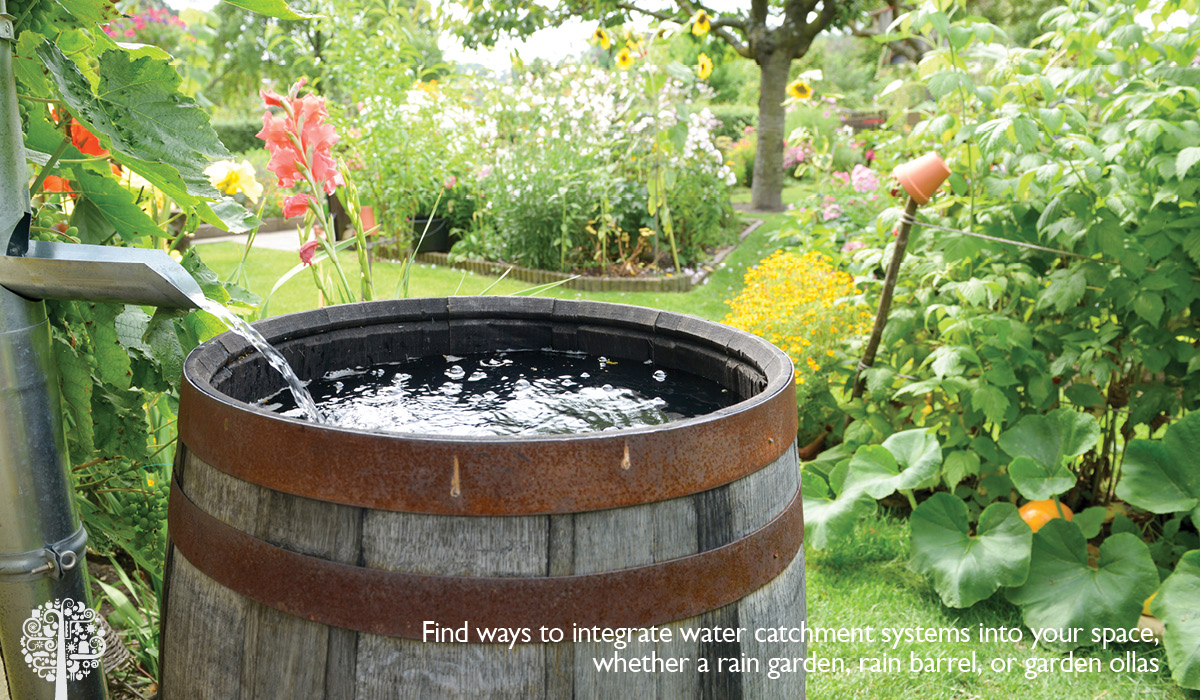 Discover Regenerative Gardening | Garden Culture Magazine