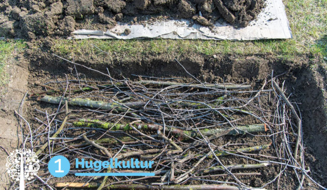 5 Cool Ways You Can Practice Regenerative Agriculture At Home ...