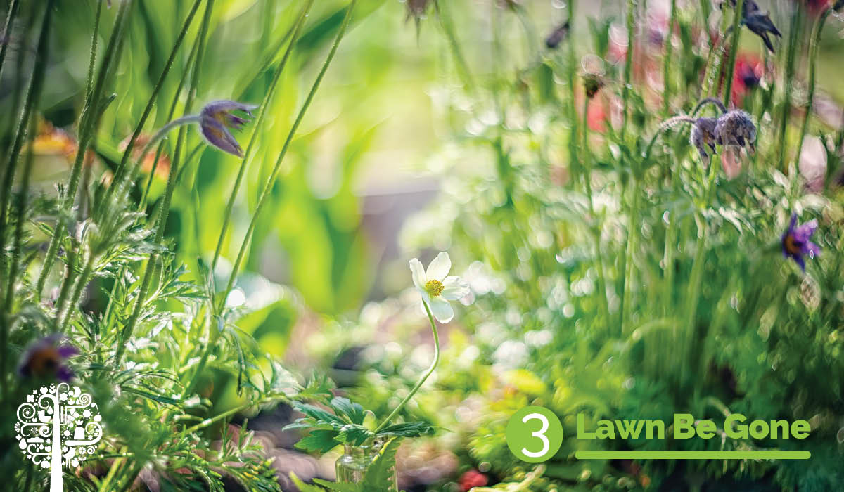 5 Cool Ways You Can Practice Regenerative Agriculture At Home ...