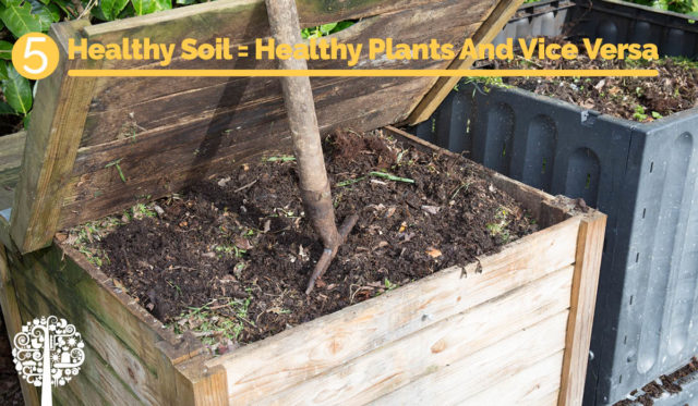 5 Cool Ways You Can Practice Regenerative Agriculture At Home