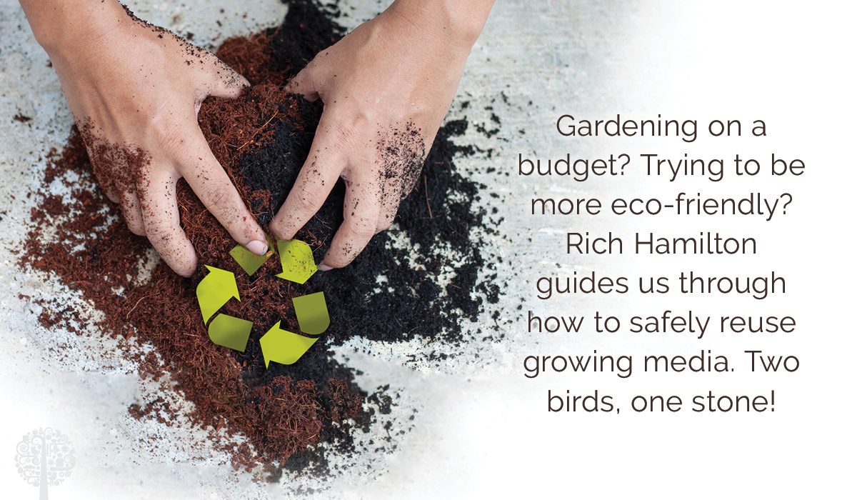 Save Some Green, Go Green By Reusing Growing Media – Nature's Gateway