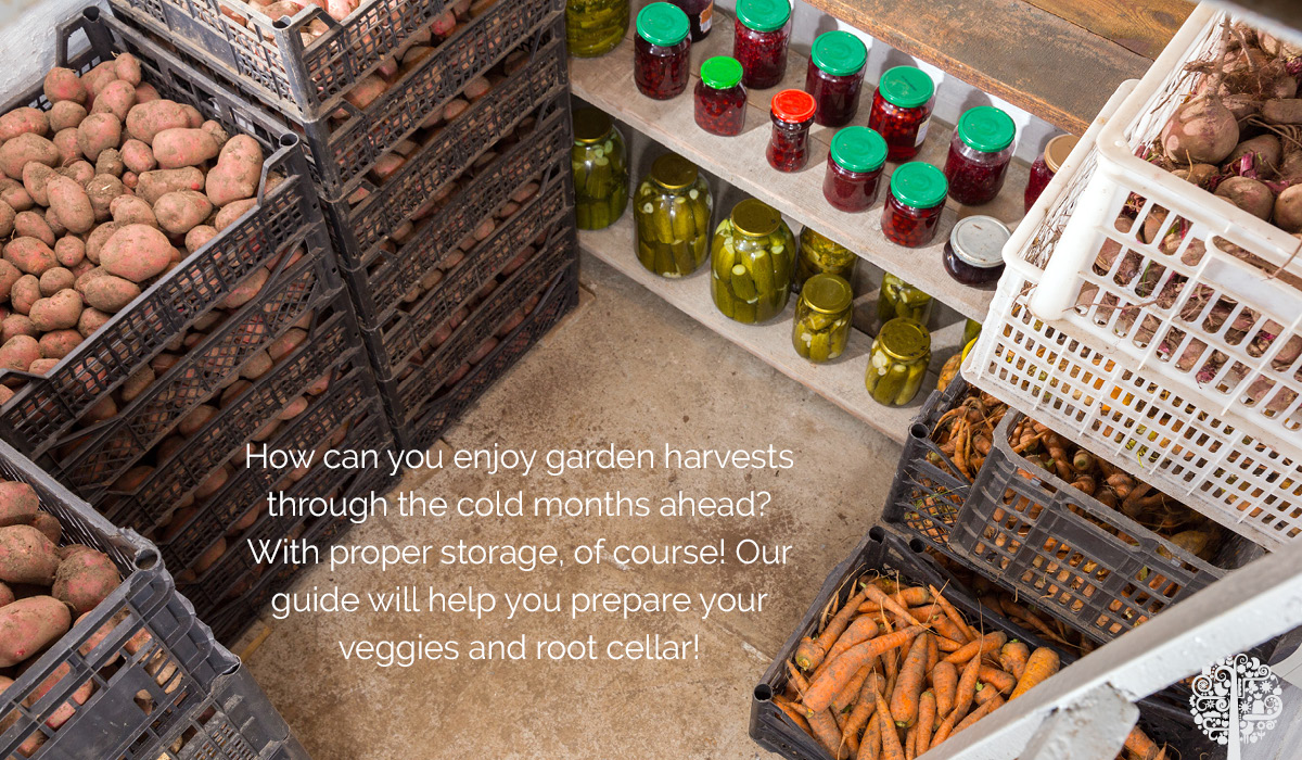 Vegetable Harvest - Useful Long-Term Storage Solutions | GCM